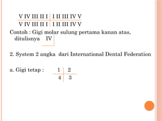 NOMENKLATUR GIGI dalam seajarah di indonesia | PPTX