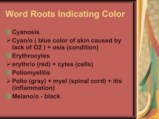 Nomenklatur Istilah Medis | PPT