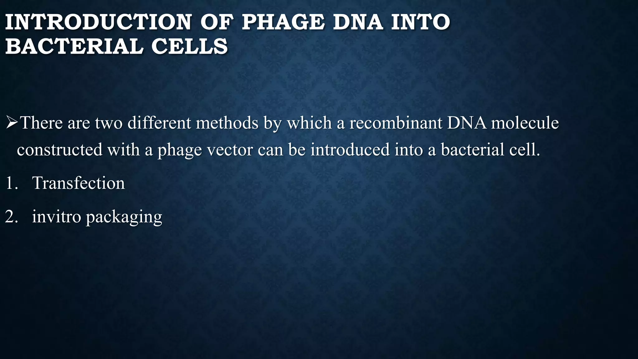 transfection and invitro packaging of phage genome | PPTX