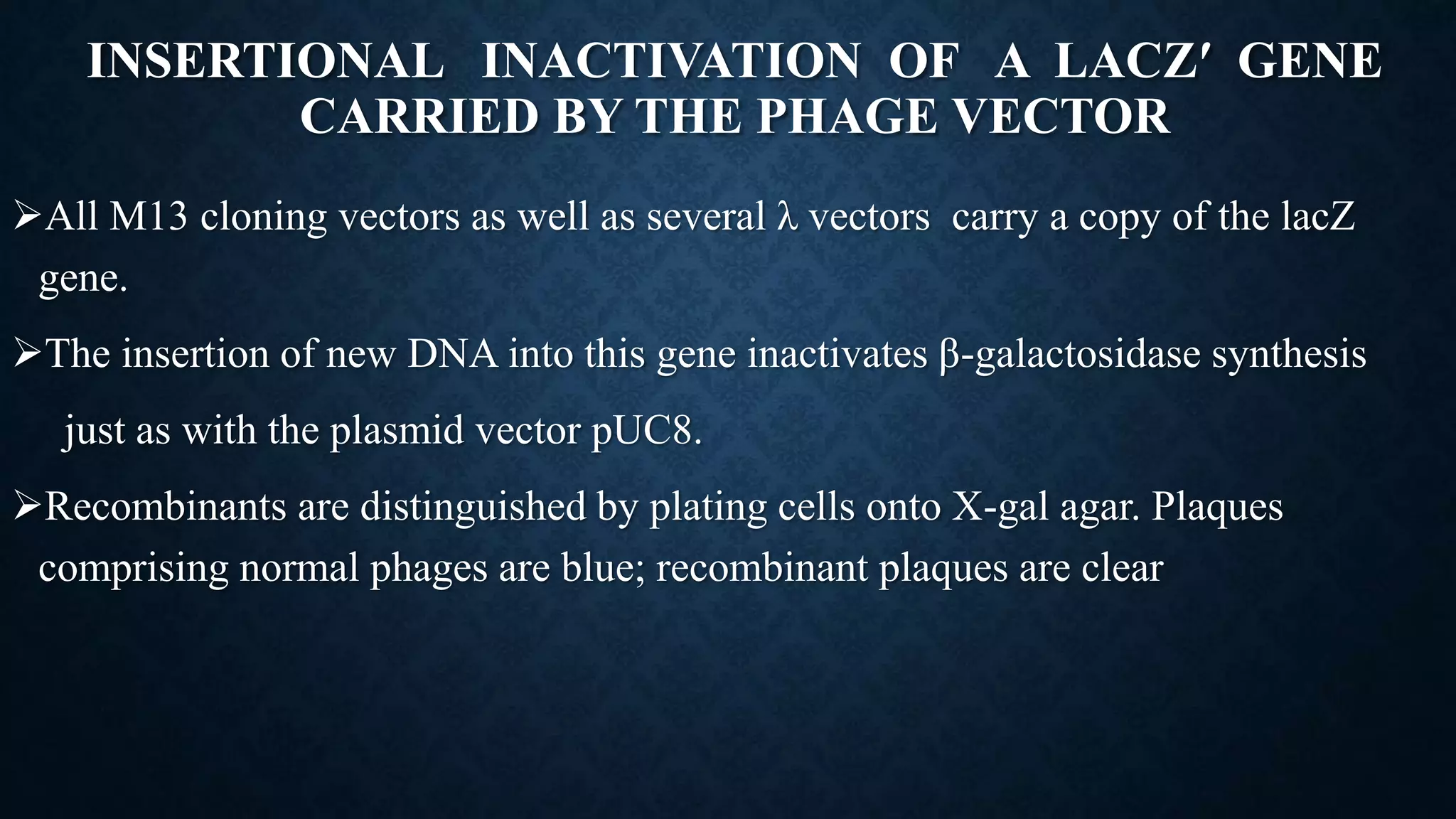transfection and invitro packaging of phage genome | PPTX