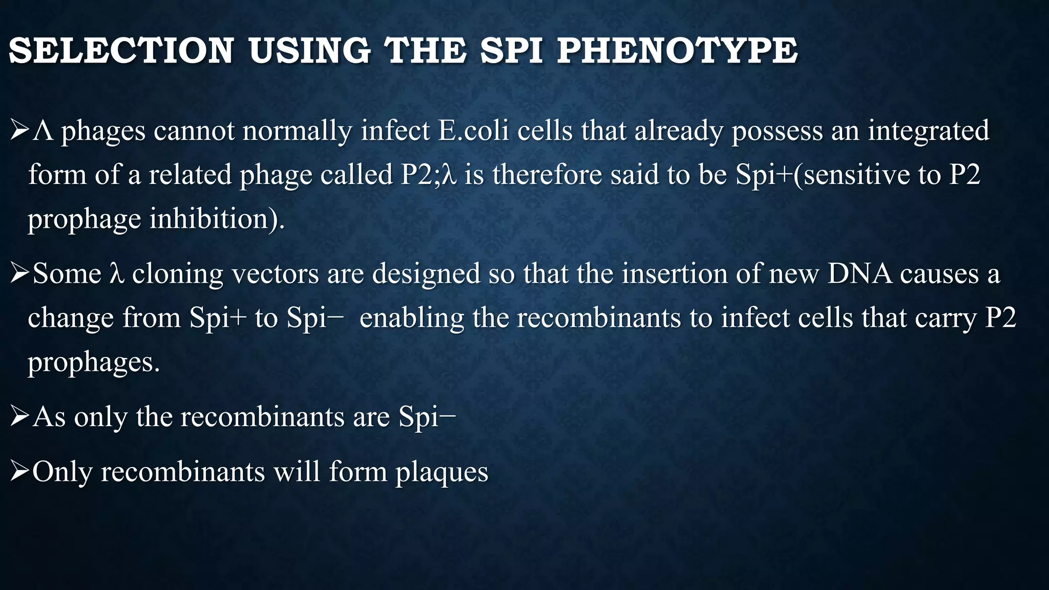 transfection and invitro packaging of phage genome | PPTX
