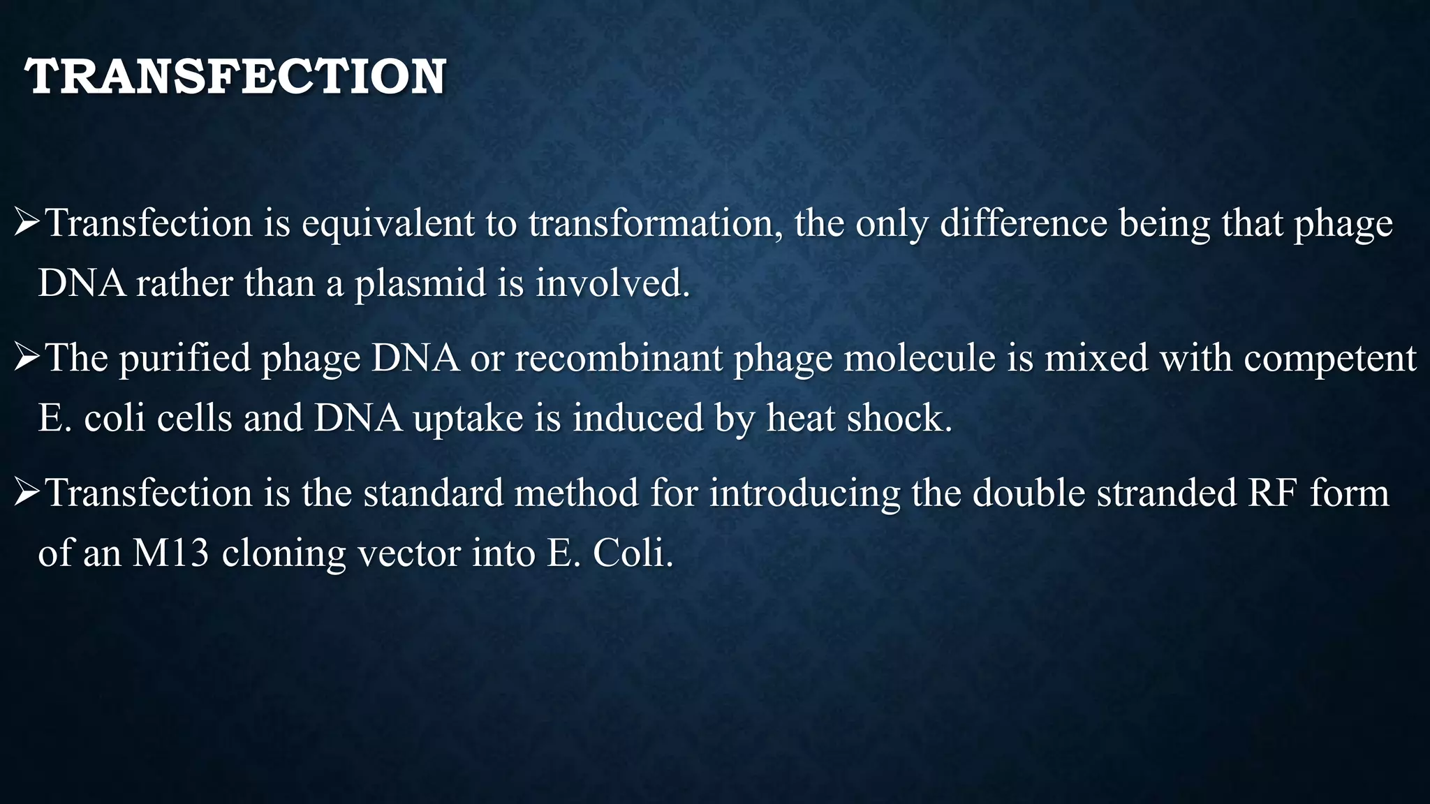 transfection and invitro packaging of phage genome | PPTX