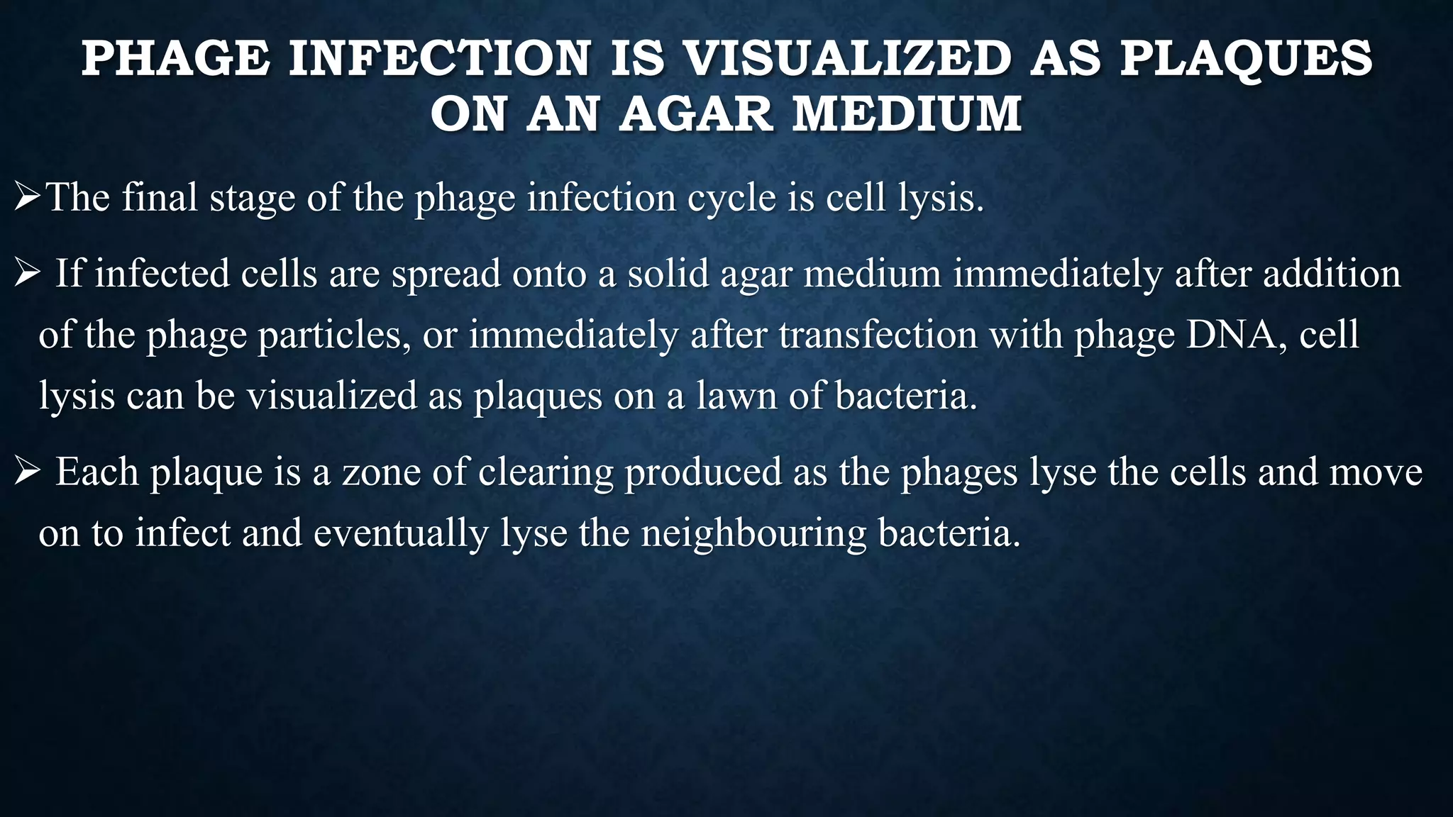 transfection and invitro packaging of phage genome | PPTX