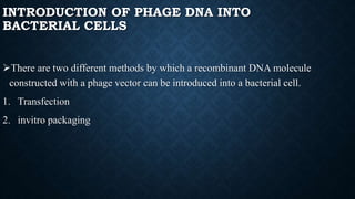 transfection and invitro packaging of phage genome | PPTX