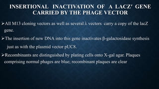 transfection and invitro packaging of phage genome | PPTX