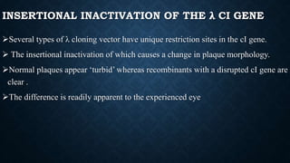 transfection and invitro packaging of phage genome | PPTX