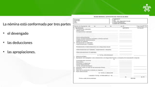 la normina en el sector publico y sus beneficios | PPTX
