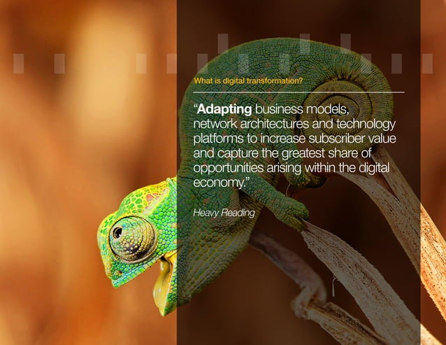 Nominum Use Case Guide | PDF | Internet | Computing