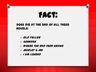 No more dead dogs | PPT