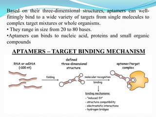 BIOPHARMACEUTICS OF ANTISENSE MOLECULE AND APTAMERS | PDF