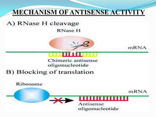 BIOPHARMACEUTICS OF ANTISENSE MOLECULE AND APTAMERS | PDF