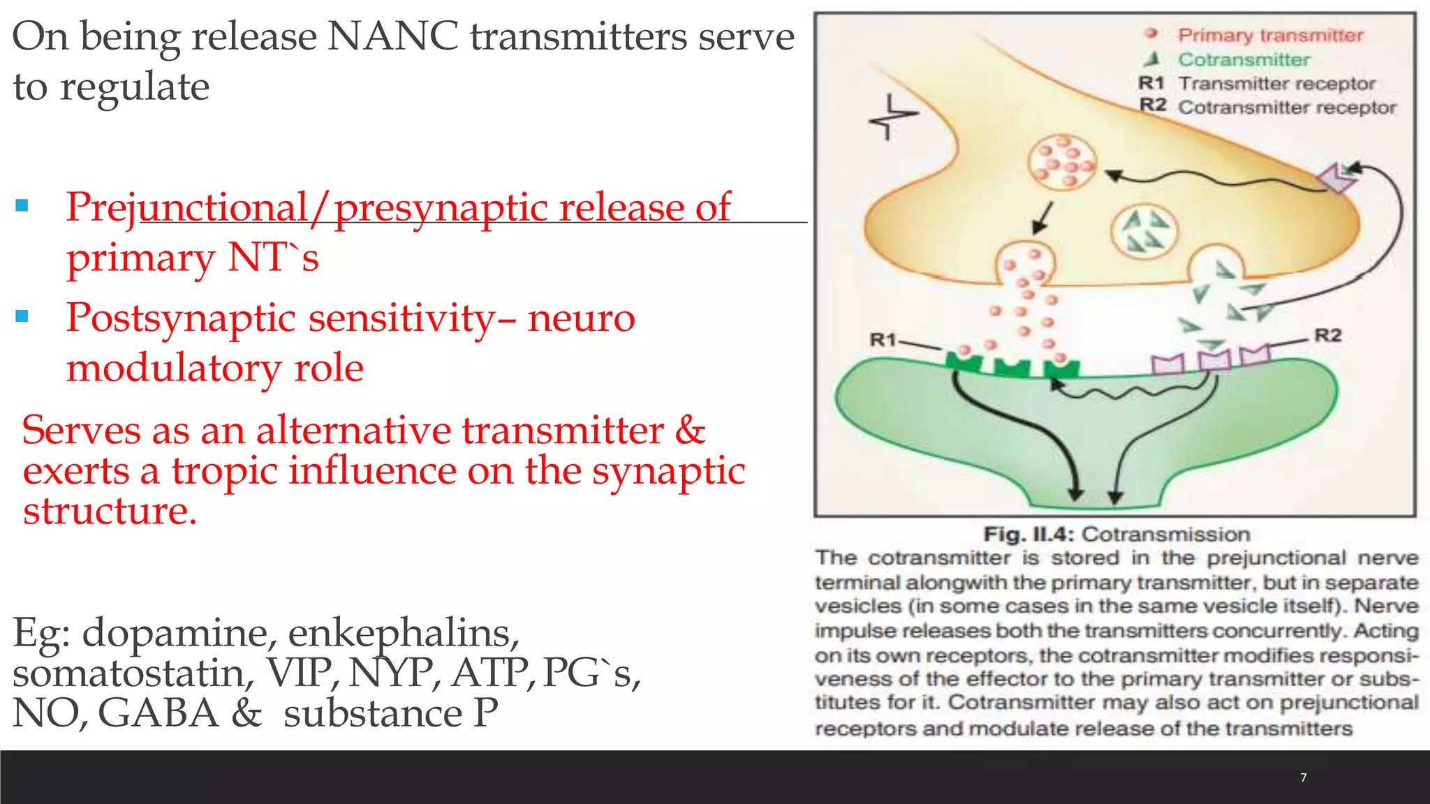 Non adrenergic, non-cholinergic (nanc) transmitters | PPTX | Brain and ...