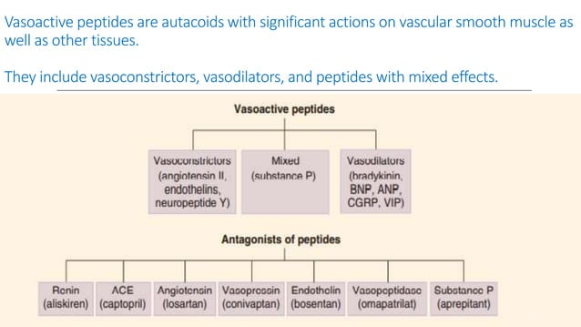 Non adrenergic, non-cholinergic (nanc) transmitters | PPTX | Brain and ...