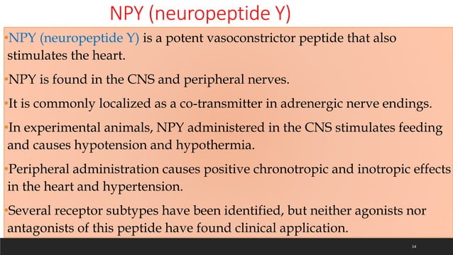 Non adrenergic, non-cholinergic (nanc) transmitters | PPTX | Brain and ...