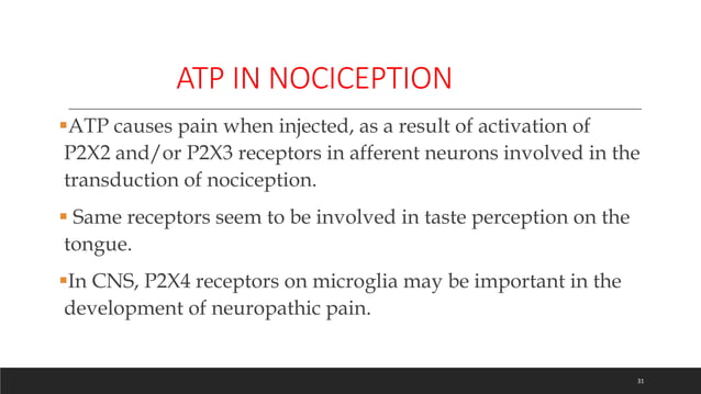 Non adrenergic, non-cholinergic (nanc) transmitters | PPTX | Brain and ...