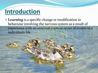 Non associative and associative learning | PPTX