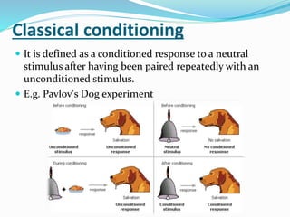 Non associative and associative learning | PPTX
