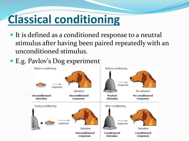 Non associative and associative learning | PPTX