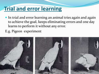 Non associative and associative learning | PPTX