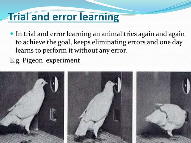 Non Associative And Associative Learning non-associative-and-associative-learning