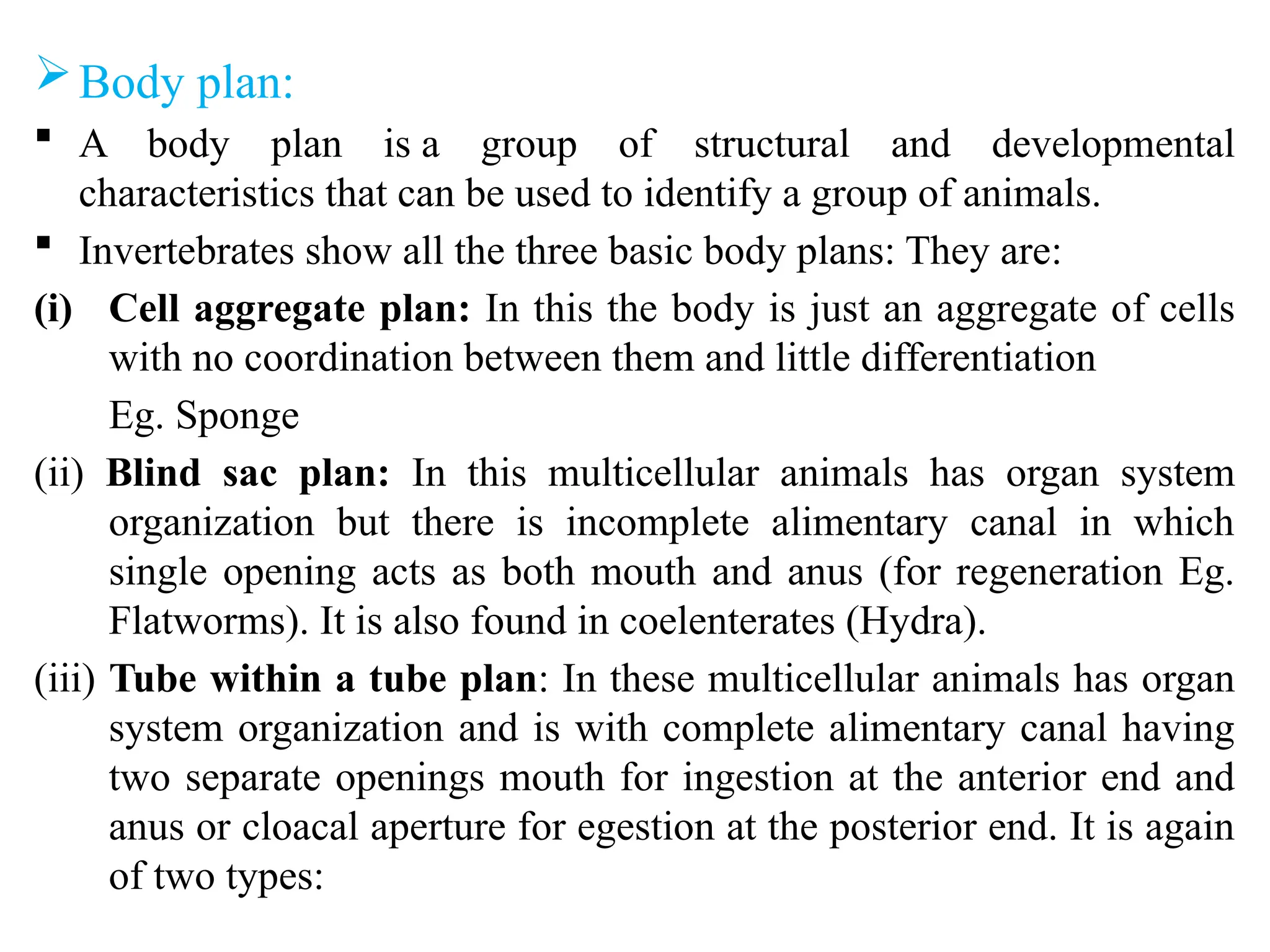 General characteristics of Non-Chordata.pptx