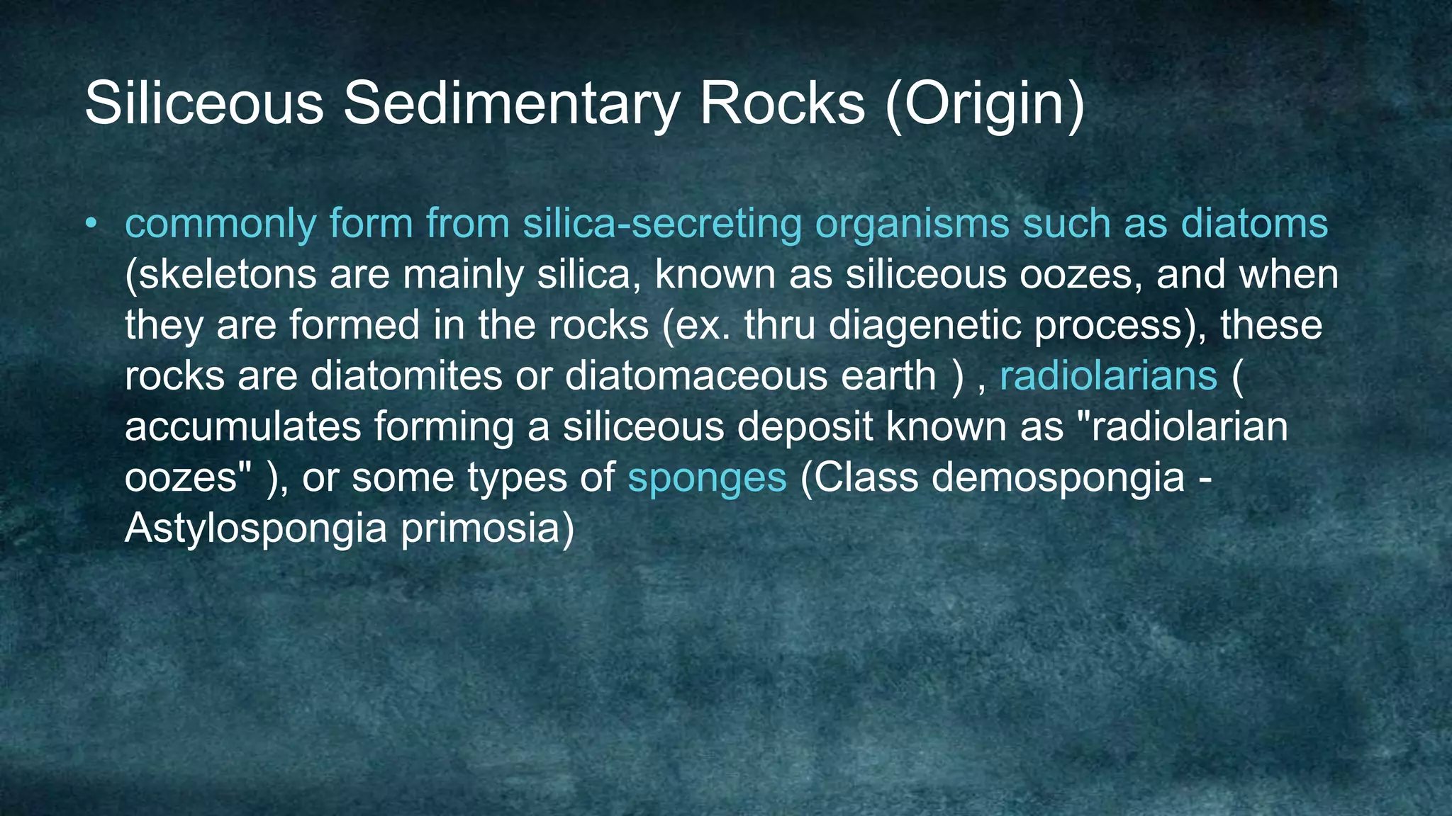 Non clastic sedimentary rocks | PPTX