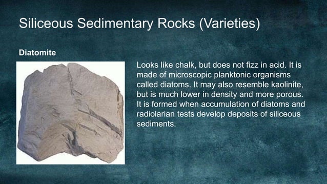 Non clastic sedimentary rocks | PPTX | Geology | Science