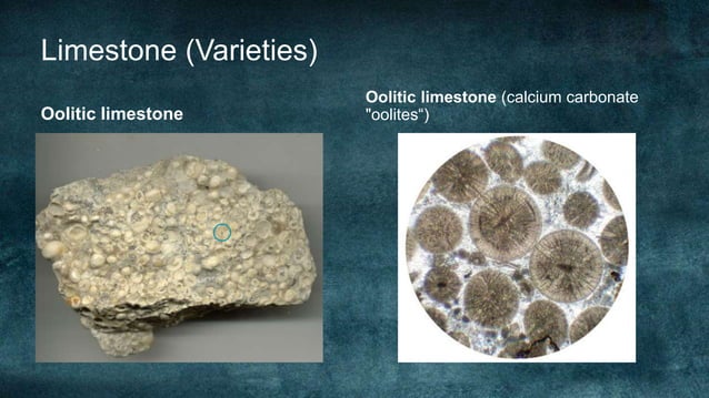 Non clastic sedimentary rocks | PPTX | Geology | Science