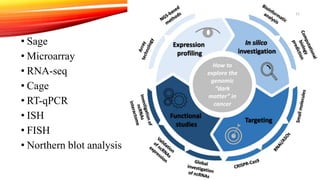 Non coding RNA & diseases | PPTX
