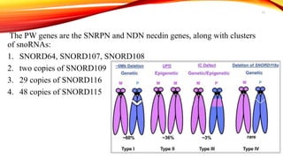 Non coding RNA & diseases | PPTX