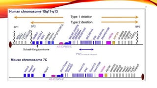 Non coding RNA & diseases | PPTX