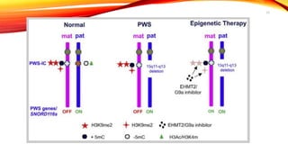 Non coding RNA & diseases | PPTX