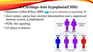 Non coding RNA & diseases | PPTX