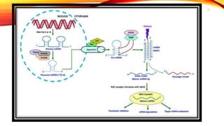 Non coding RNA & diseases | PPTX