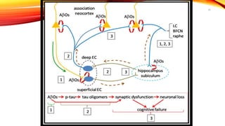 Non coding RNA & diseases | PPTX