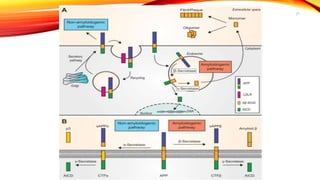 Non coding RNA & diseases | PPTX