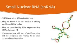 NON-CODING RNAs Pathways and their signals | PPTX