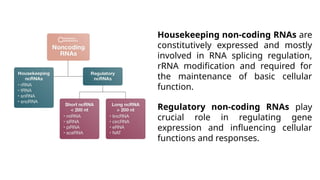 NON-CODING RNAs Pathways and their signals | PPTX