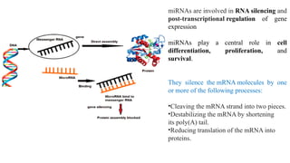 NON-CODING RNAs Pathways and their signals | PPTX