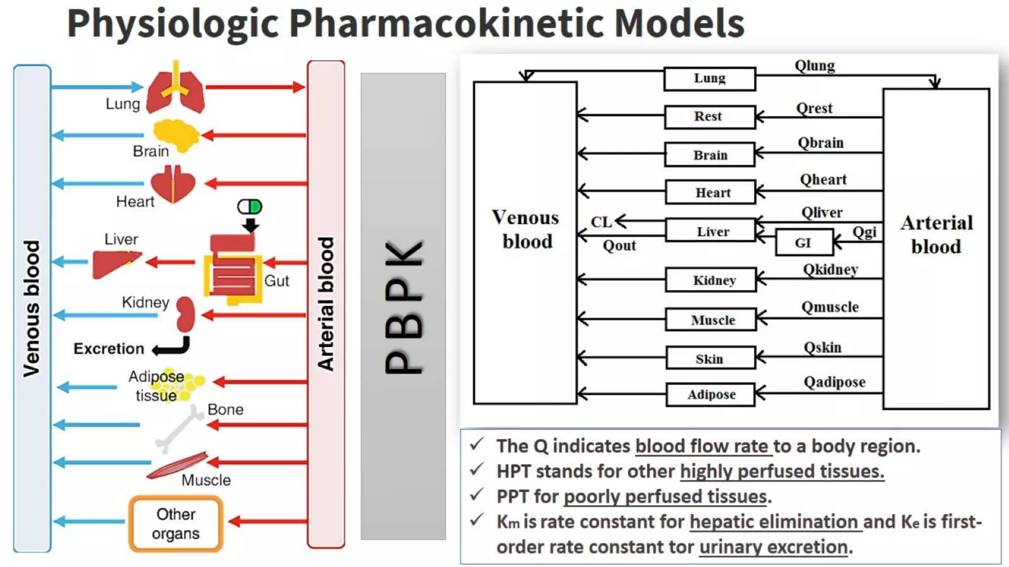 Non compartmental pharmacokinetics & physiologic pharmacokinetic models ...