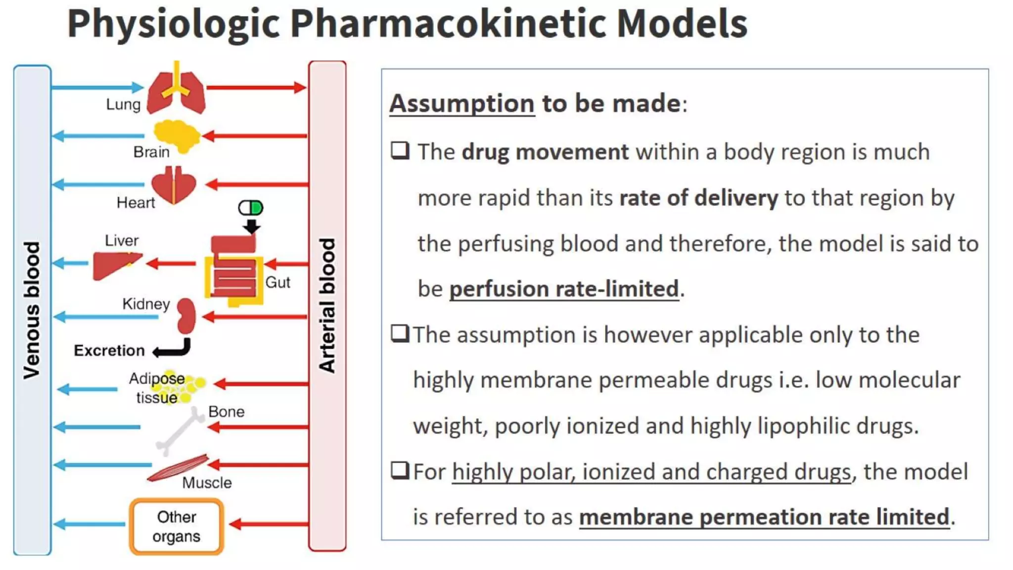 Non compartmental pharmacokinetics & physiologic pharmacokinetic models by akt | PPTX