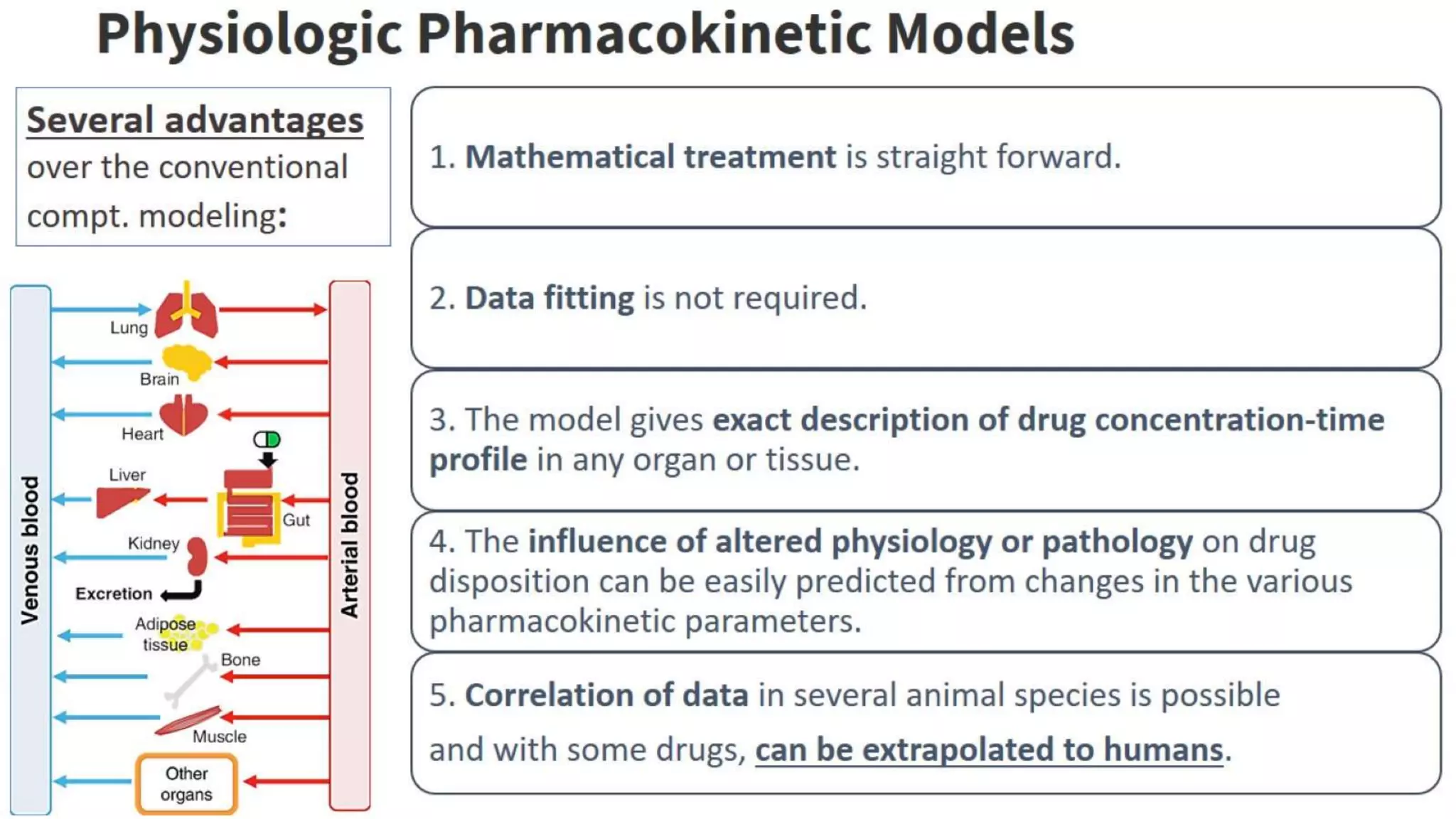 Non compartmental pharmacokinetics & physiologic pharmacokinetic models by akt | PPTX