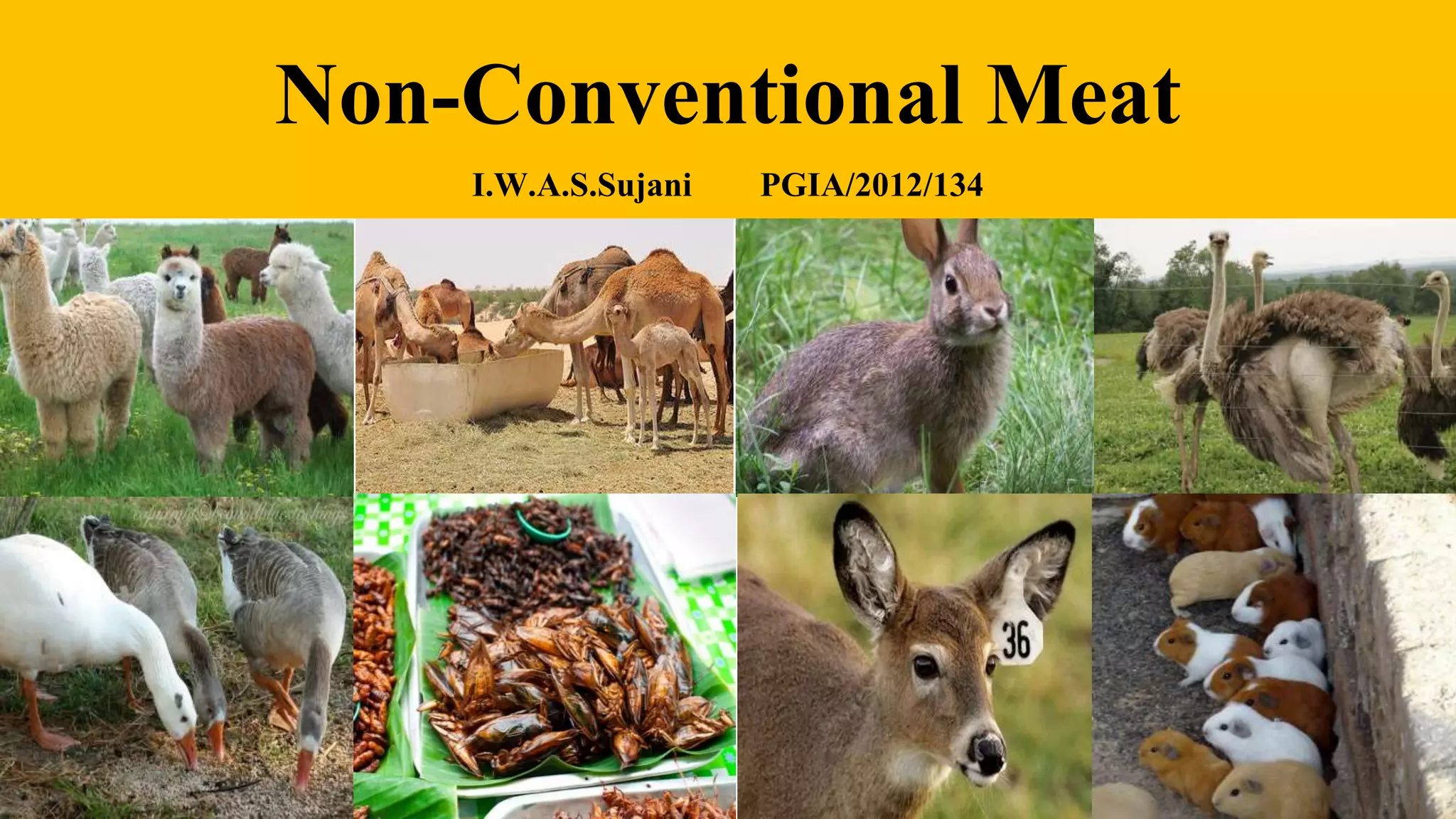 Non conventional meat | PPT