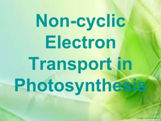 Non Cyclic Transport | PPT
