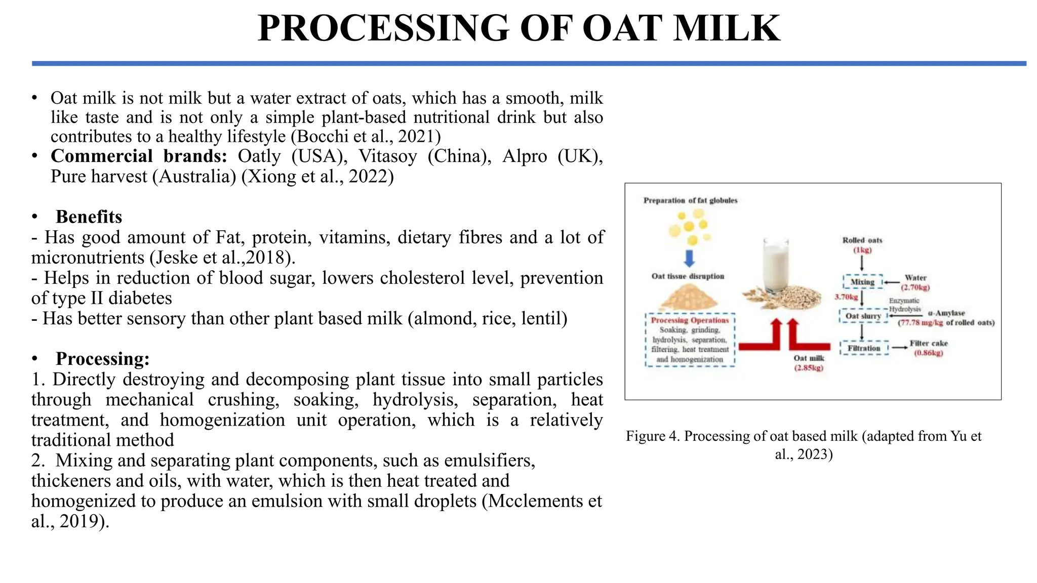 NON-DAIRY FERMENTED MILK PRODUCTS a very detailed study | PPTX