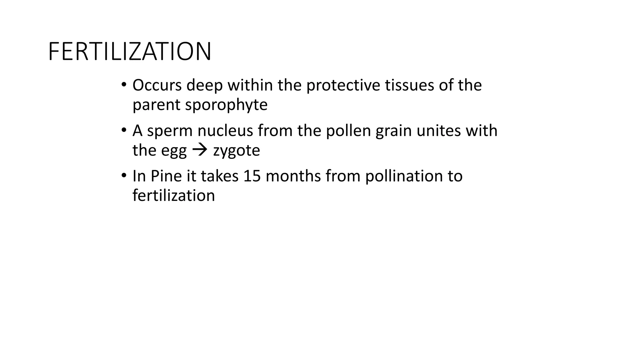 Non flowering plants life cycle | PPTX