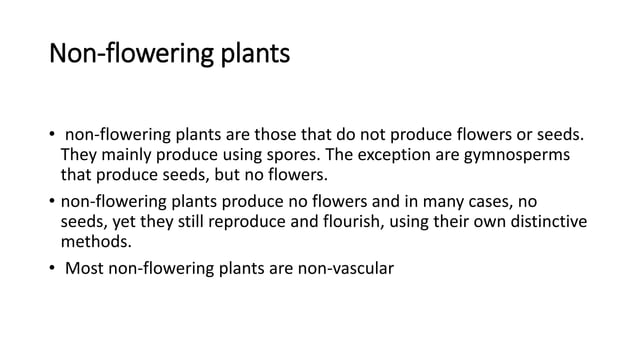 Non flowering plants life cycle | PPTX | Infertility | Reproductive Health