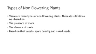 Non flowering plants life cycle | PPTX