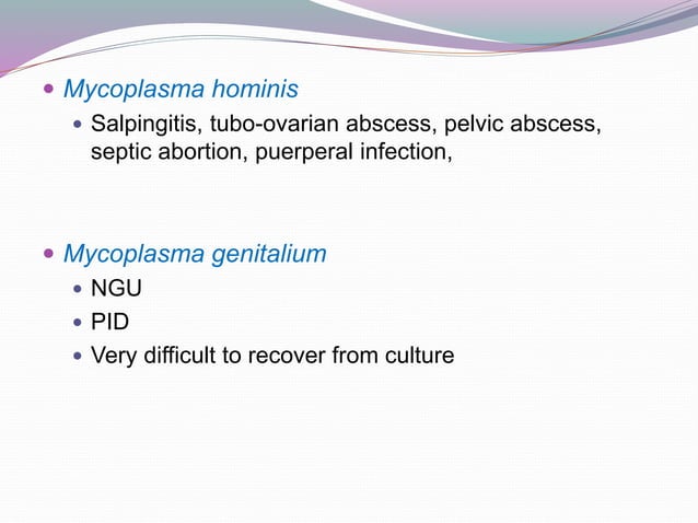 Non gonococcal urethritis | PPTX | Infectious Diseases | Diseases and Conditions