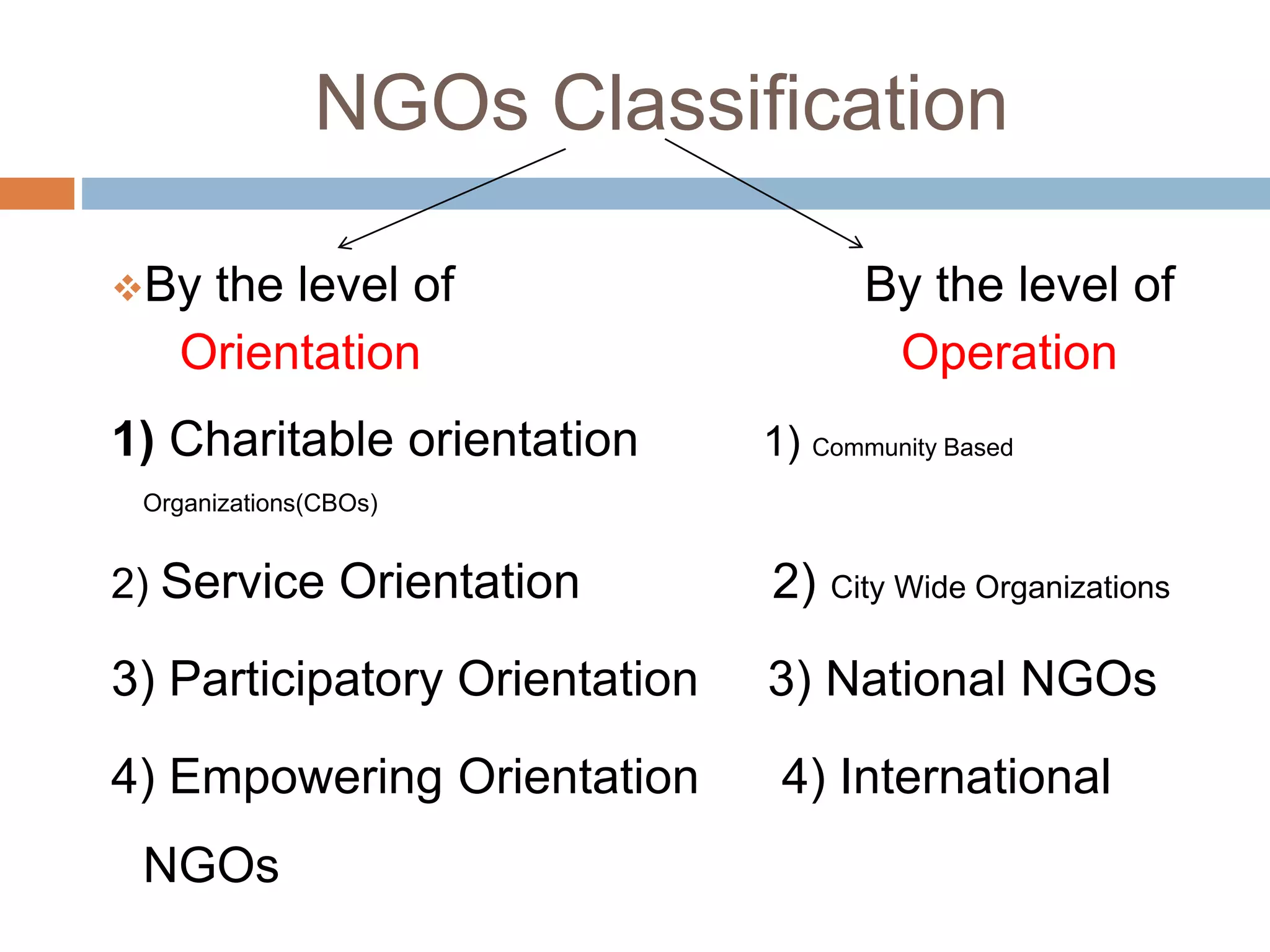 Non government organization( ng os) | PPTX